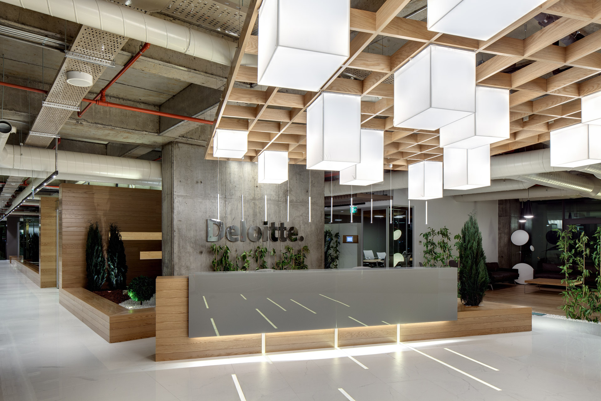 Studio Majo - DELOITTE TURKEY